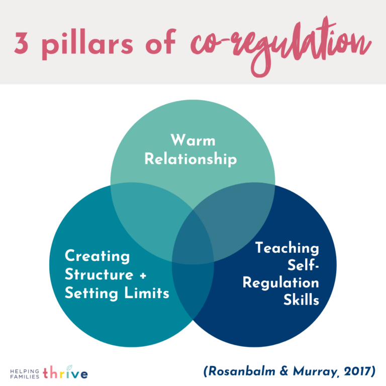 Three Pillars of Co-Regulation - Helping Families Thrive